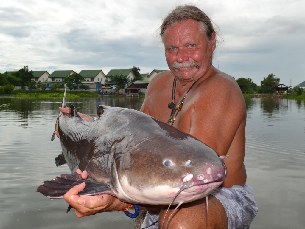 Palm Tree Lagoon Photo Gallery Salween Rita