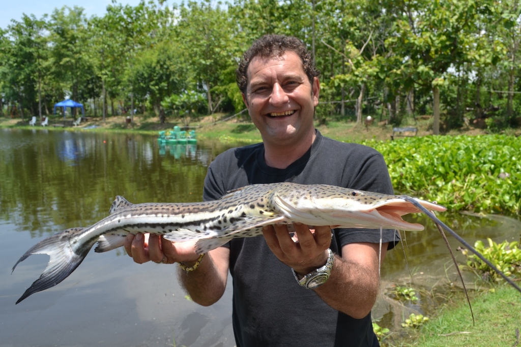 Firewood catfish - Alchetron, The Free Social Encyclopedia