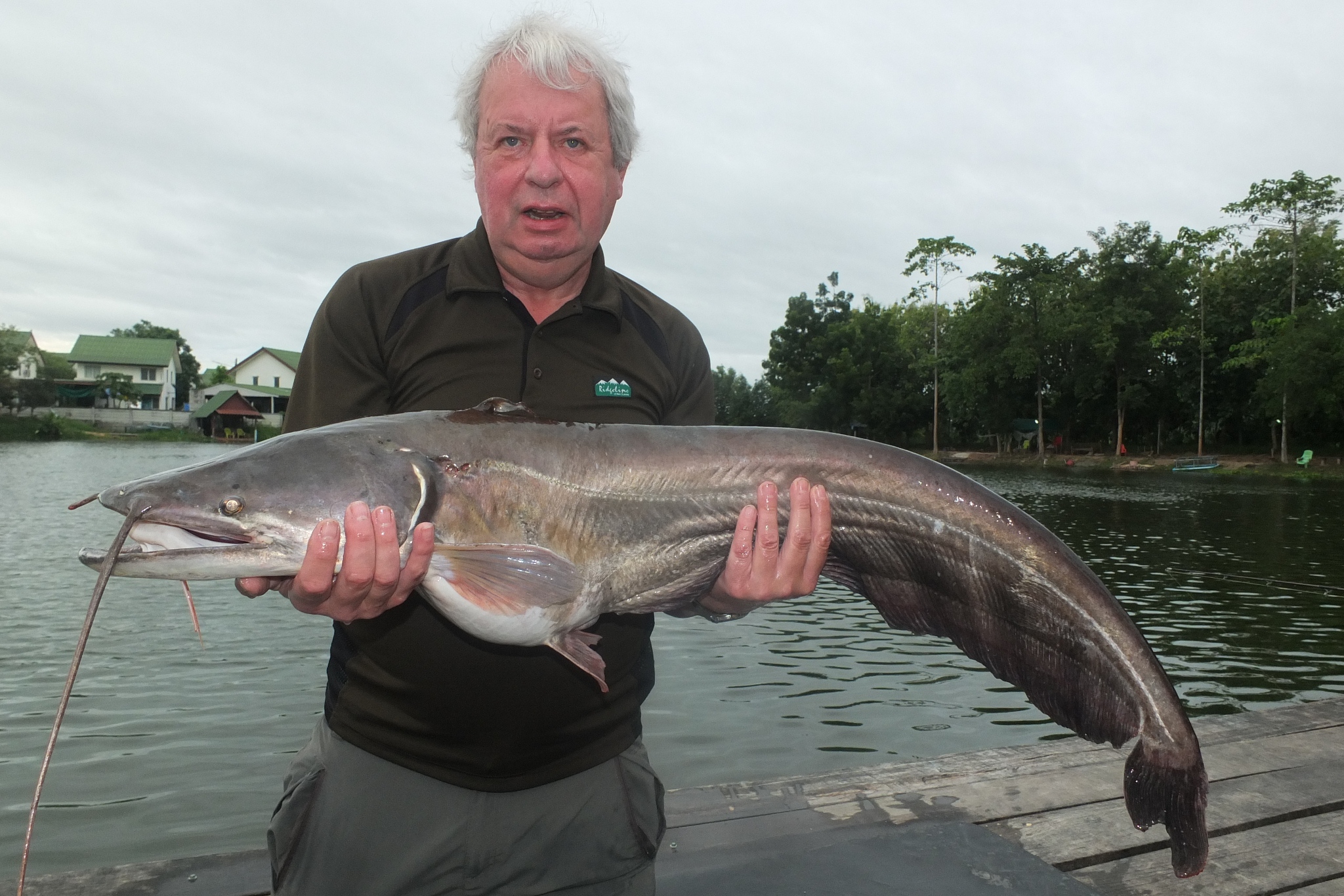 Wallago Attu Gallery PTL4