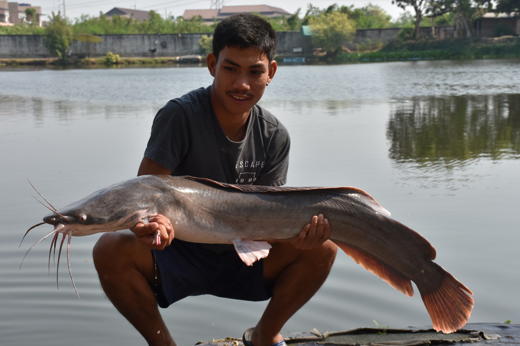 Guided Fishing Holidays in Thailand at Palm Tree Lagoon Photo Image ...